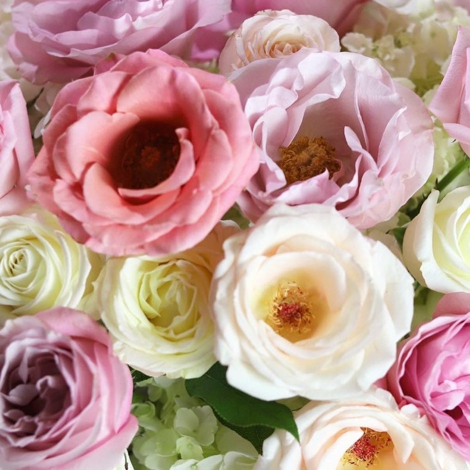 Roberto Gonzalez Flowers – ROBERTO GONZALEZ