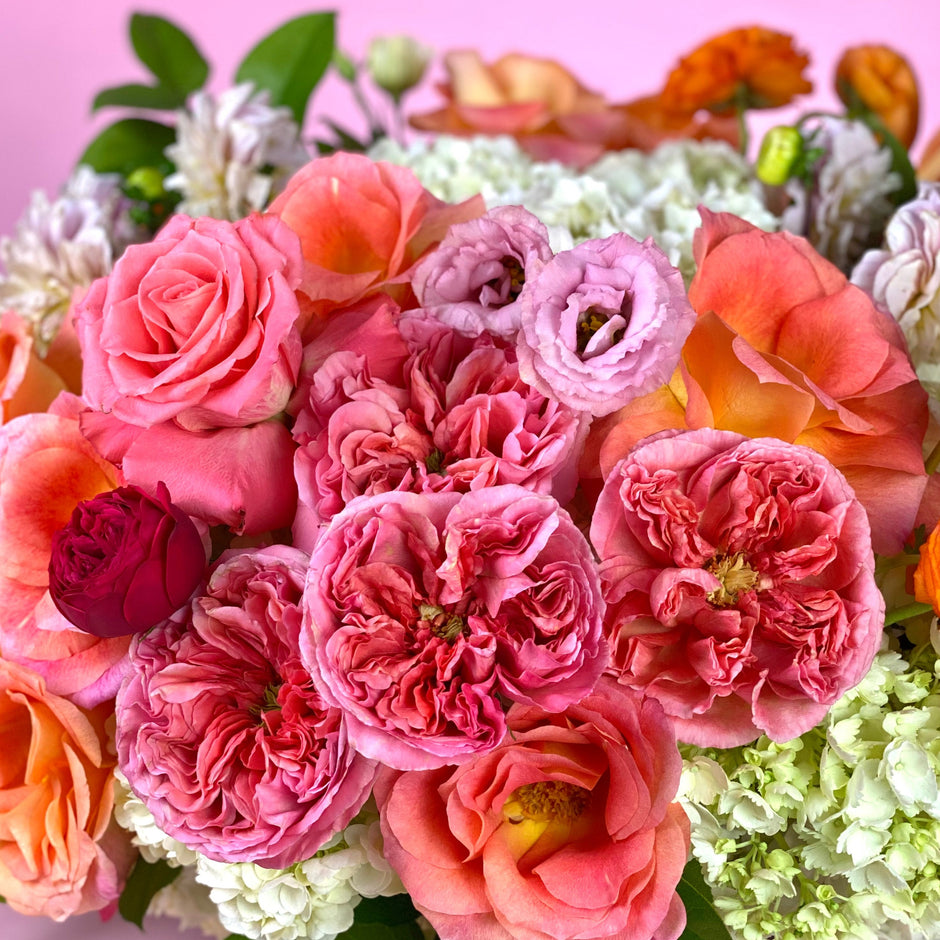 Roberto Gonzalez Flowers – ROBERTO GONZALEZ